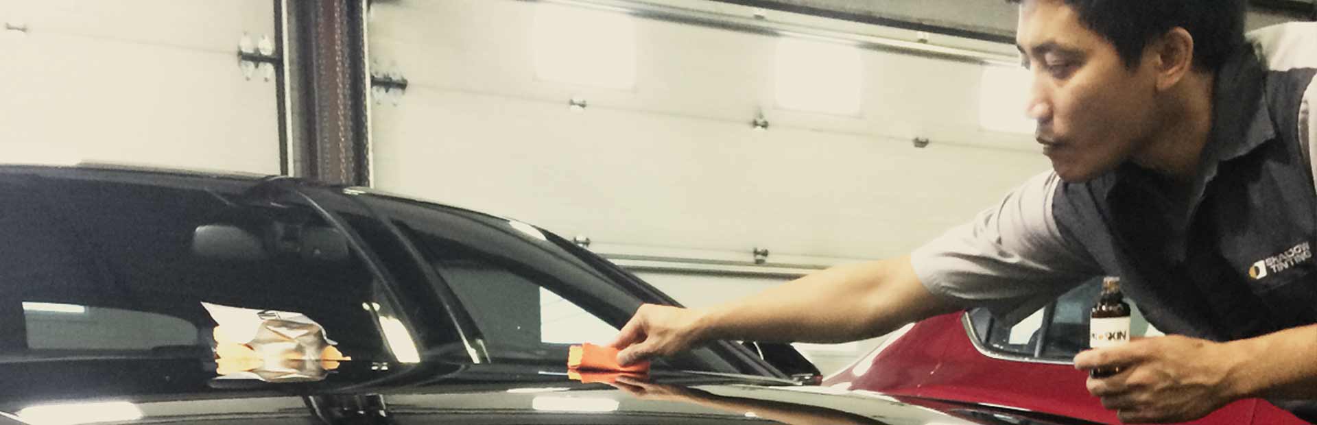 PROSKIN SYSTEM – Shadow Tinting